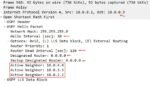 OSPF Point To Multipoint Network Type Explained